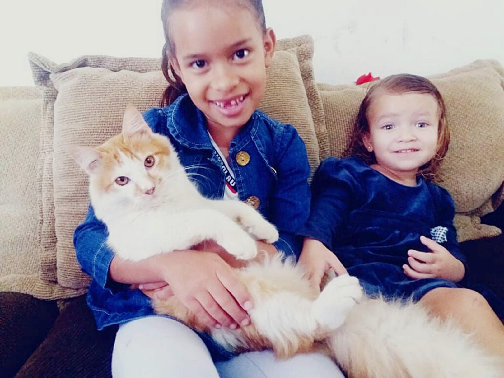 O xodó desta semana é o gatinho Sherikan, da Nicolly Isabelly - TV Jaguari