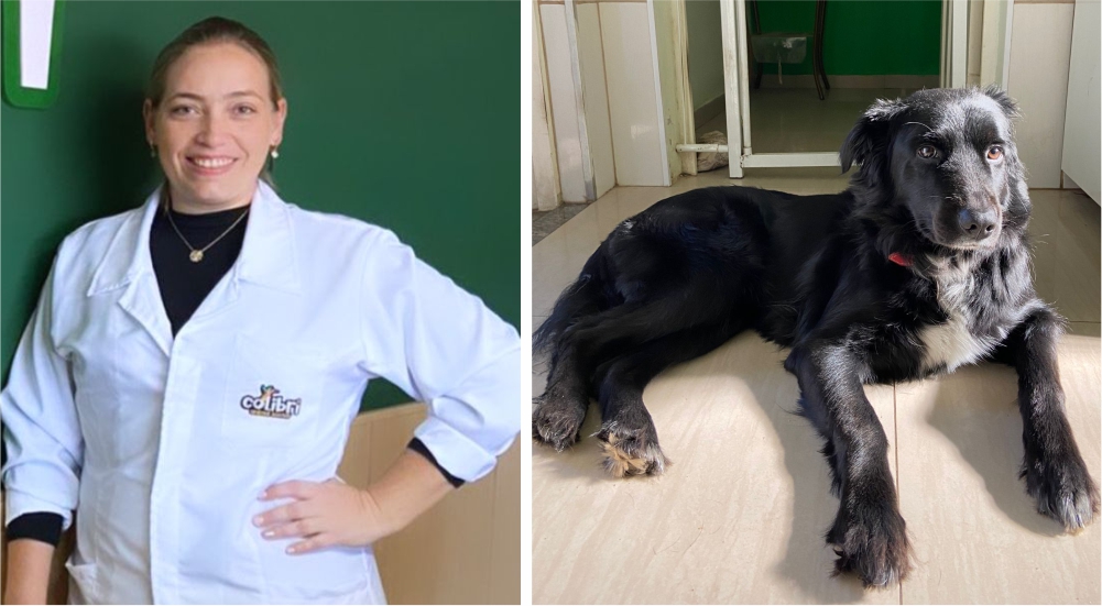 Raiva animal: entenda o porquê da doença ser fatal - TV Jaguari