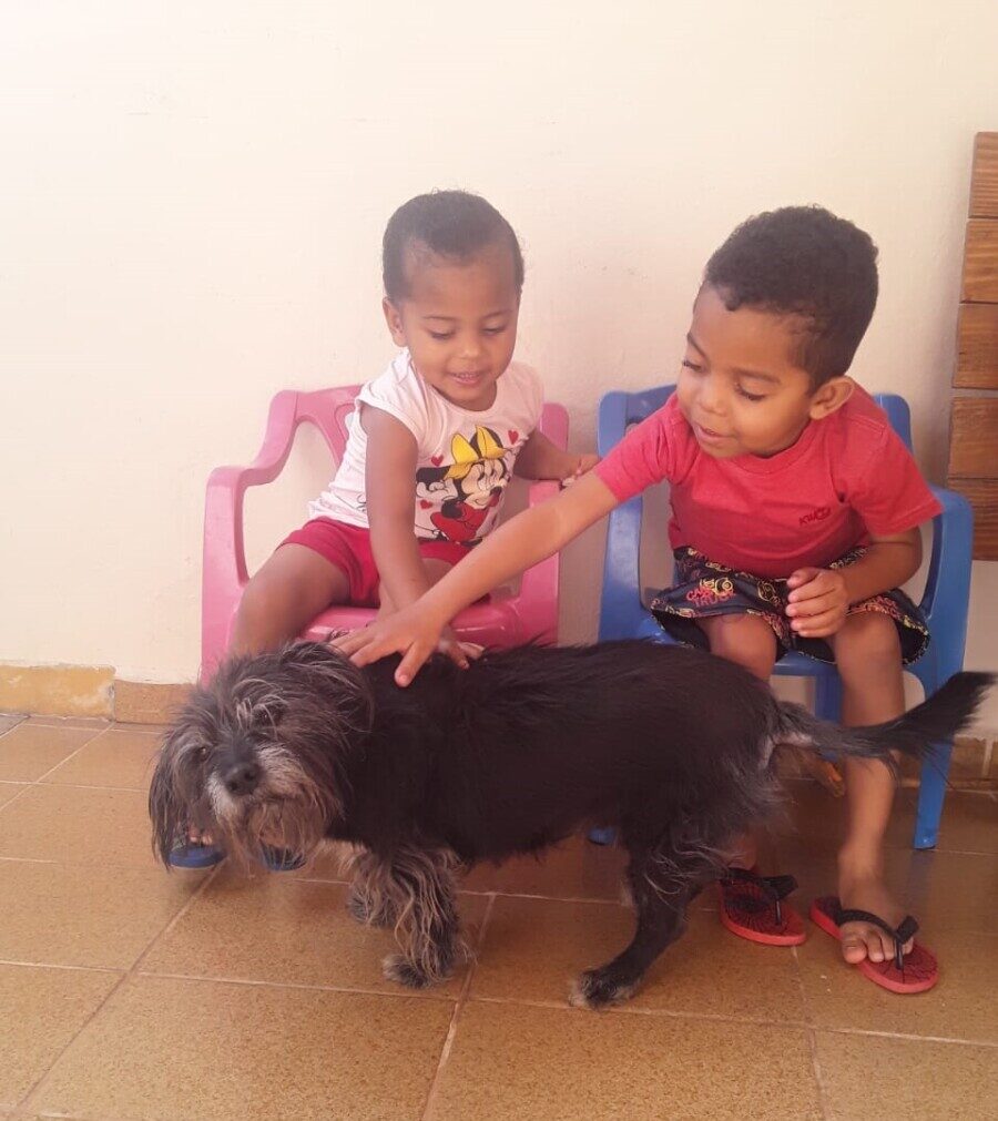 Meu animal, meu xodó - TV Jaguari