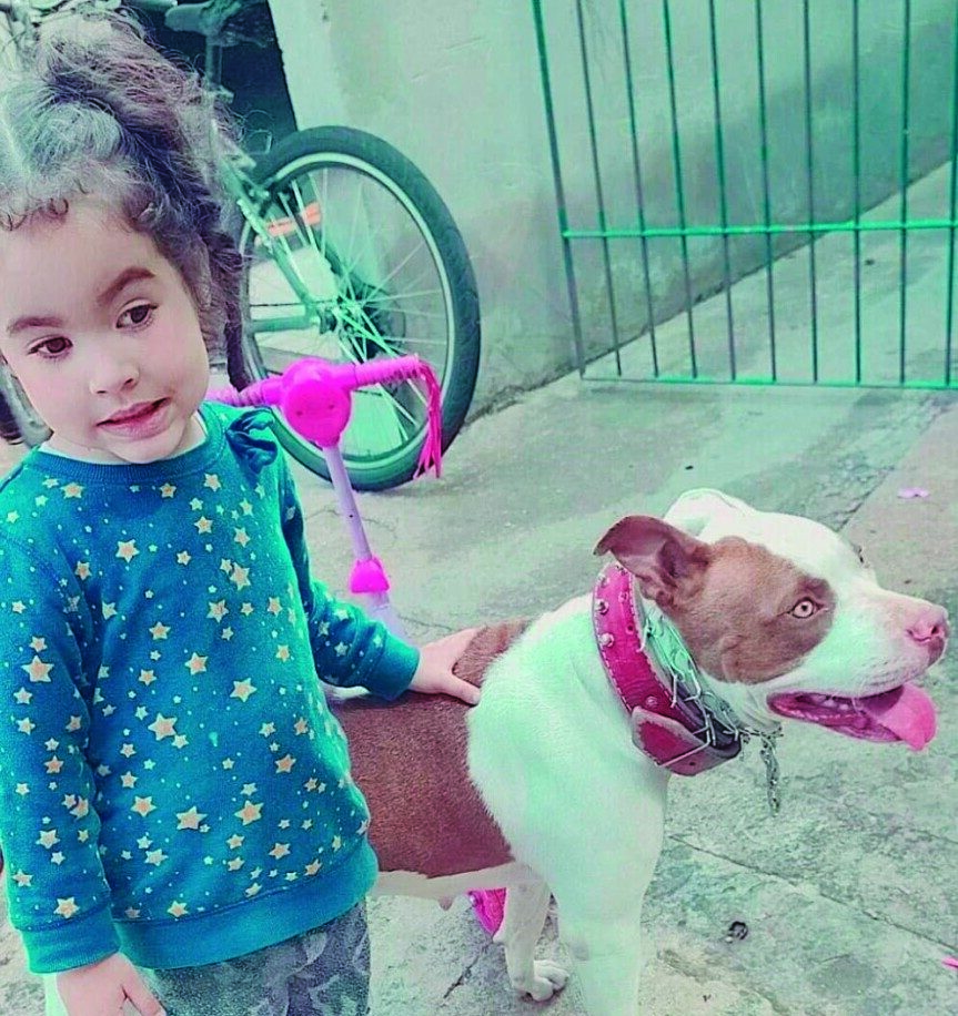 Meu animal, meu xodó - TV Jaguari