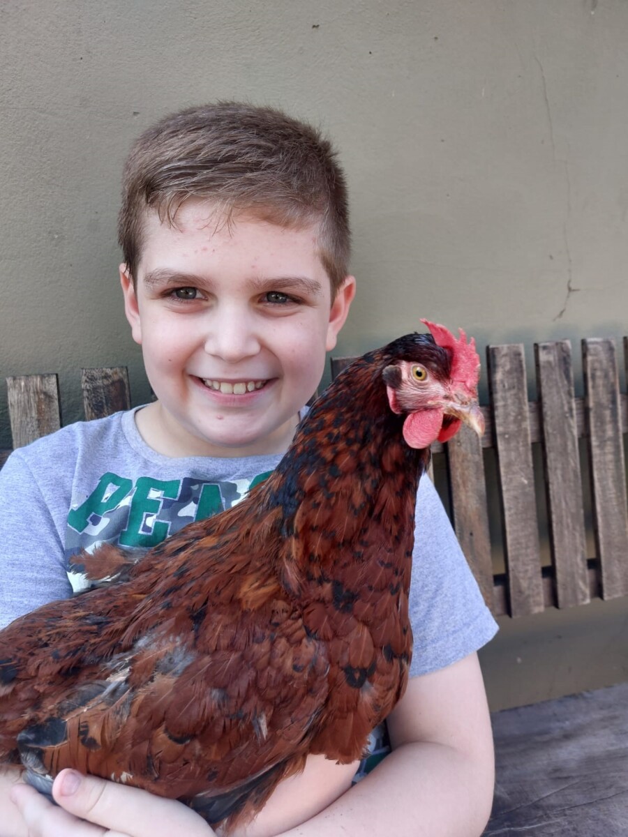 Meu animal, meu xodó - TV Jaguari