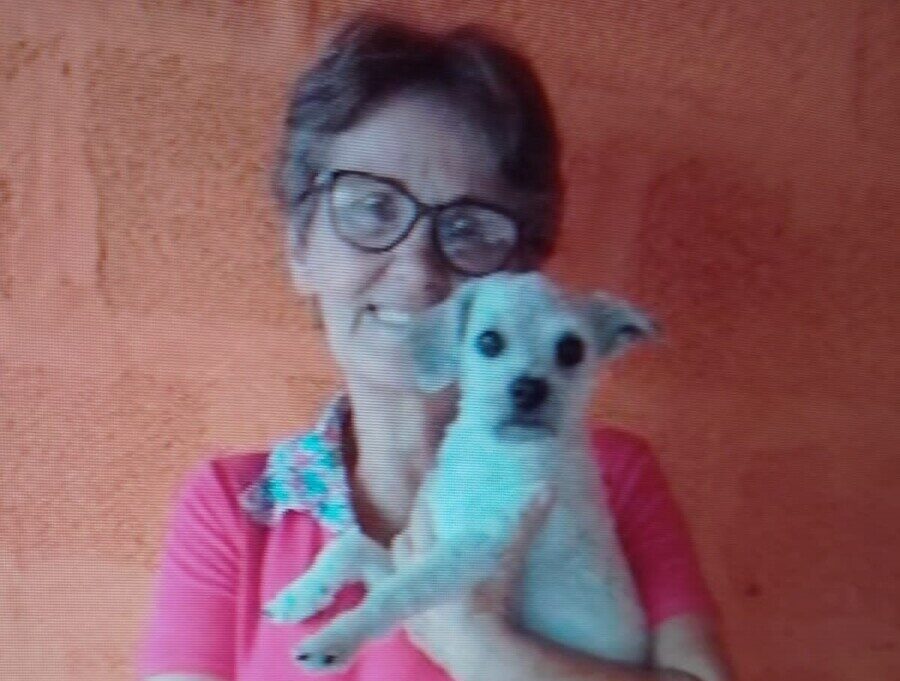 Meu animal, meu xodó - TV Jaguari