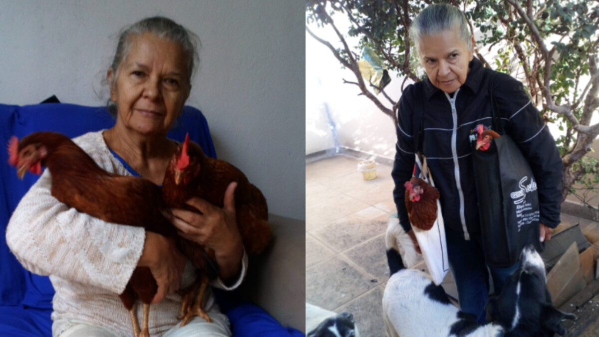 Meu animal, meu xodó - TV Jaguari