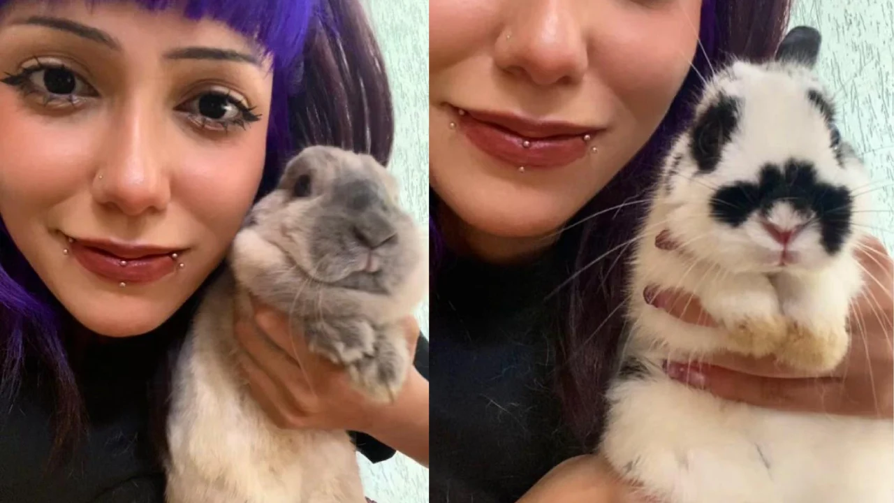 Meu animal, meu xodó - TV Jaguari